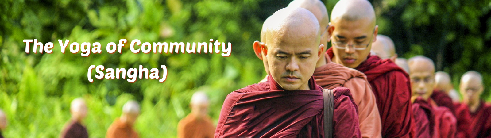 The Yoga of Community (Sangha) | Tools for Transformation